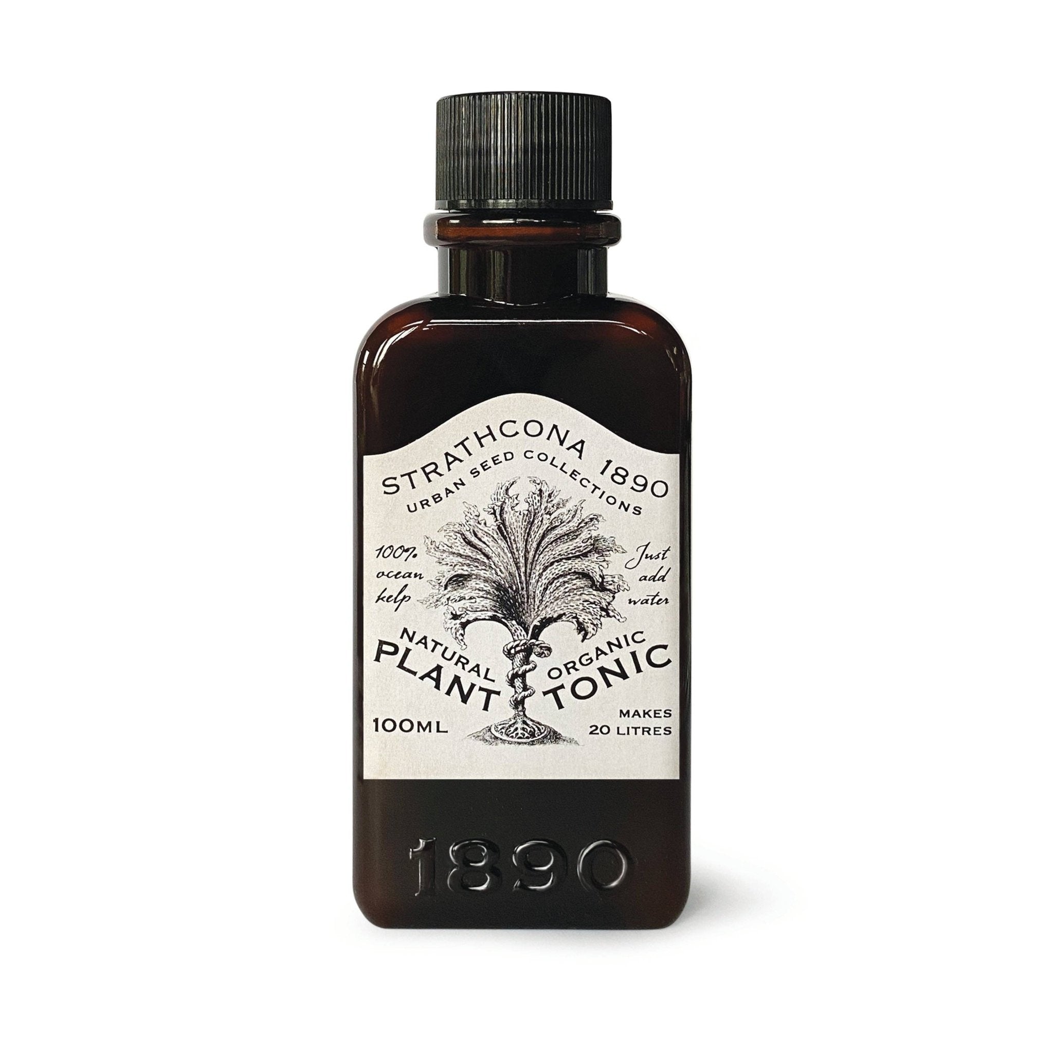 Plant Tonic 100ml – Curated Joy | Natural Home